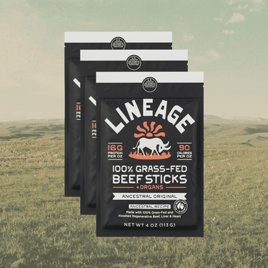 100% Grass-Fed Beef Sticks – Ancestral Recipe (Original Flavor ...