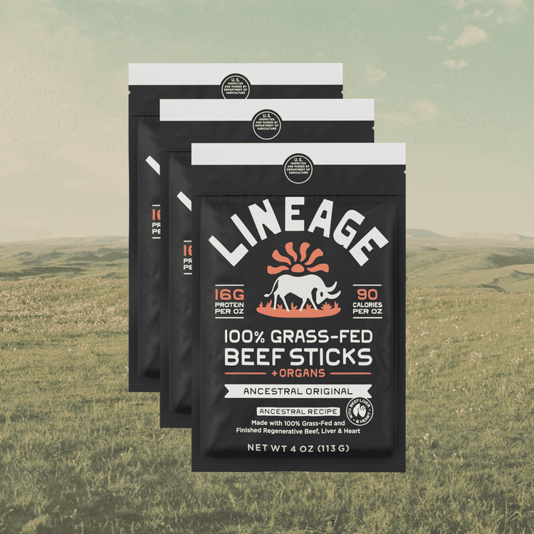 100% Grass-Fed Beef Sticks – Ancestral Recipe (Original Flavor ...